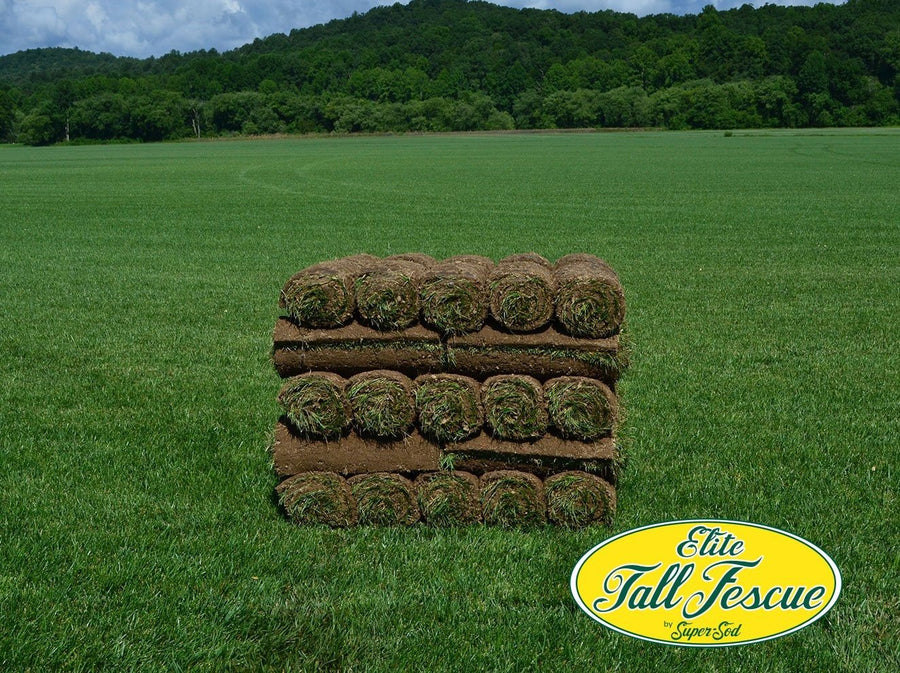Fresh Sod Direct From Our Farm | Super-Sod