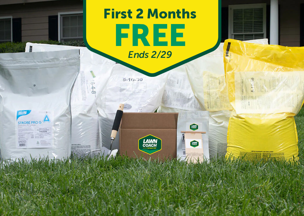 Lawn Care Products | Super-Sod