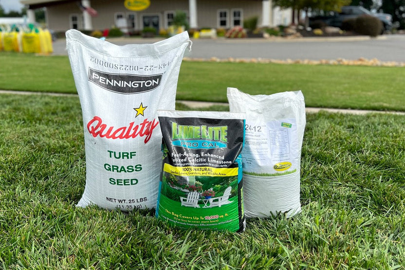Fresh Grass Seed | Grow What We Grow | Super-Sod
