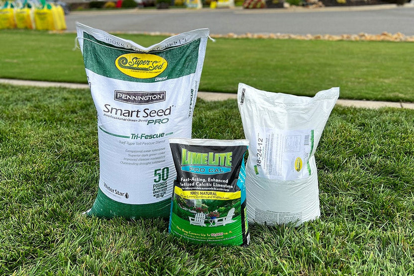 Specials | Super-Sod