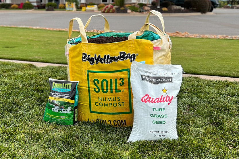 Fresh Grass Seed | Grow What We Grow | Super-Sod