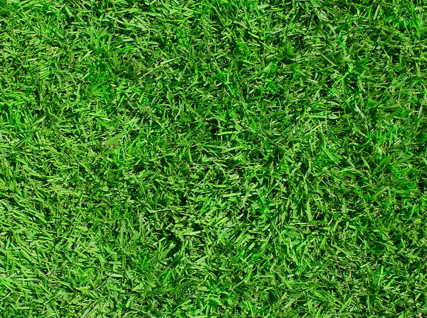 Fresh Sod Direct From Our Farm | Super-Sod