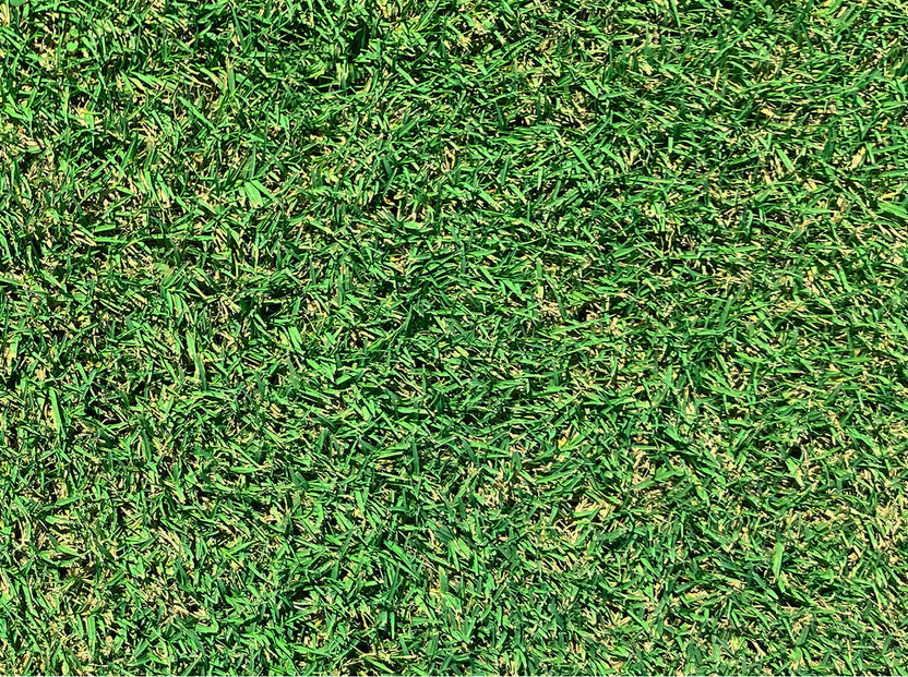 Fresh Sod Direct From Our Farm | Super-Sod