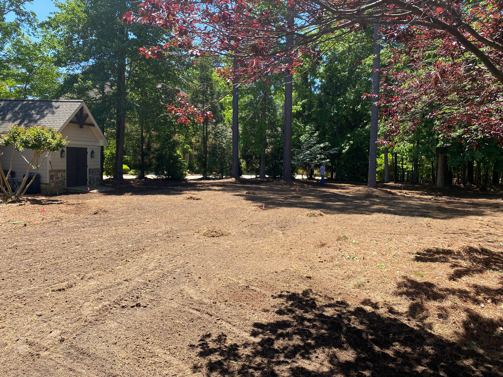 Zeon Zoysia Grass - Order Sod Online for Pick Up or Delivery Sod
