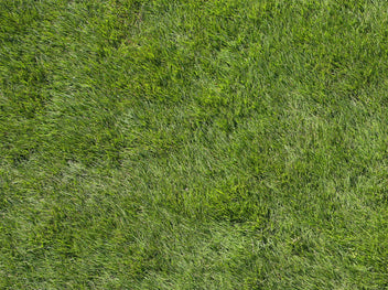 Fresh Sod Direct From Our Farm | Super-Sod