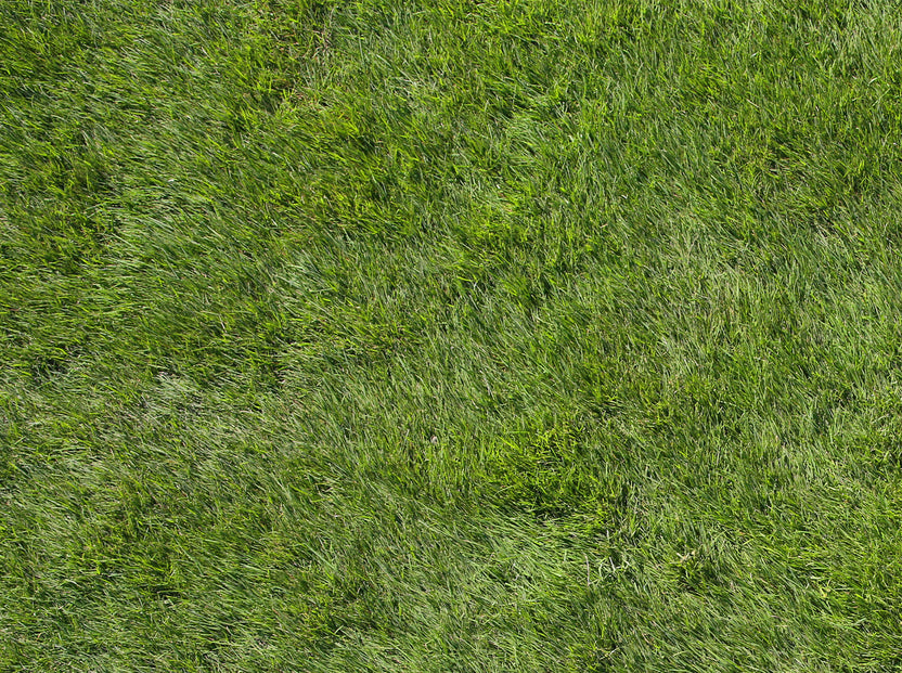 Fresh Sod Direct From Our Farm | Super-Sod
