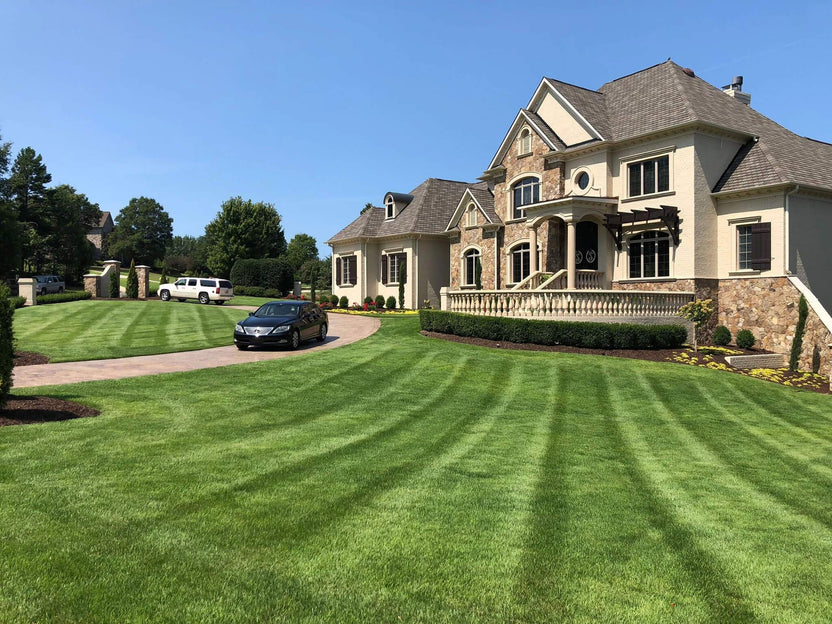 Fresh Sod Direct From Our Farm | Super-Sod