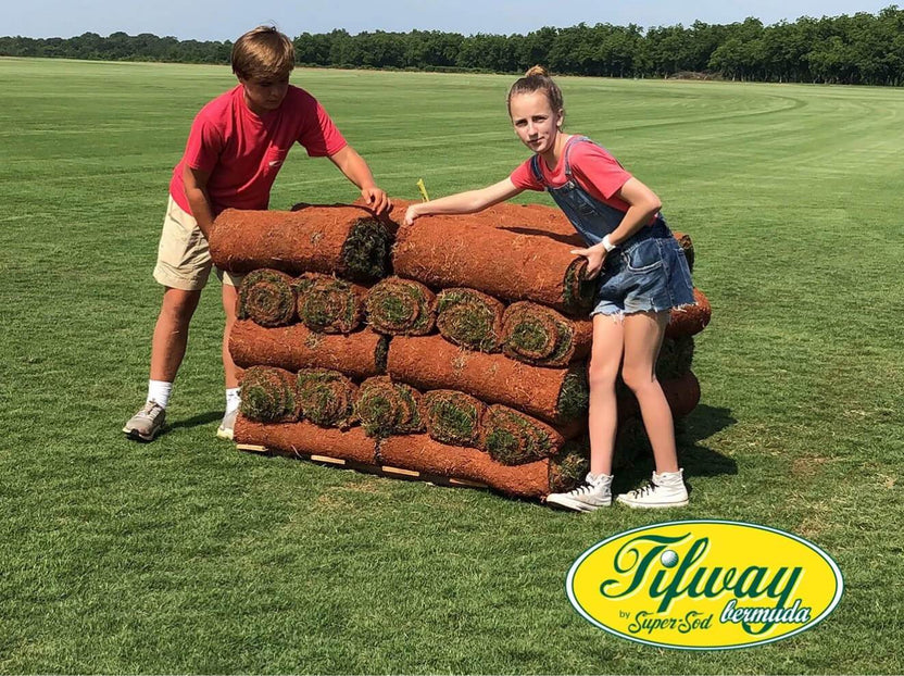Fresh Sod Direct From Our Farm | Super-Sod