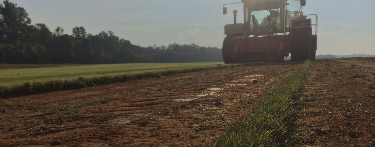 Super-Sod | Sod & Grass Seed Supplier