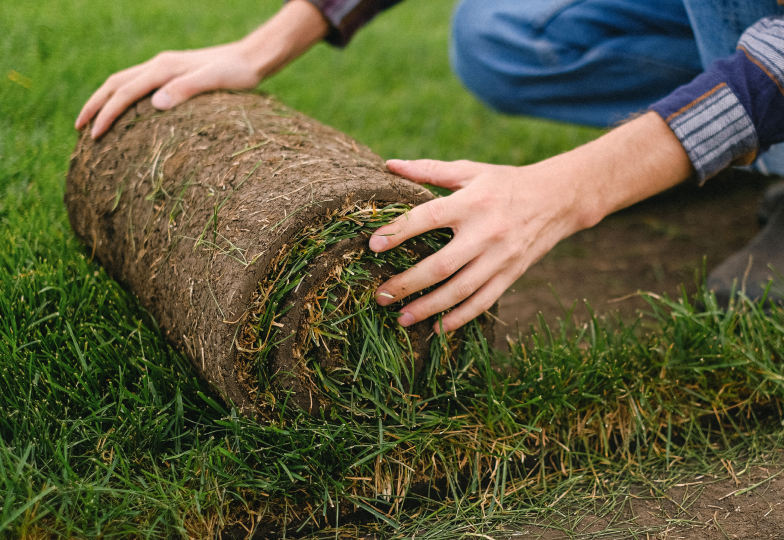 Super-Sod | Sod & Grass Seed Supplier