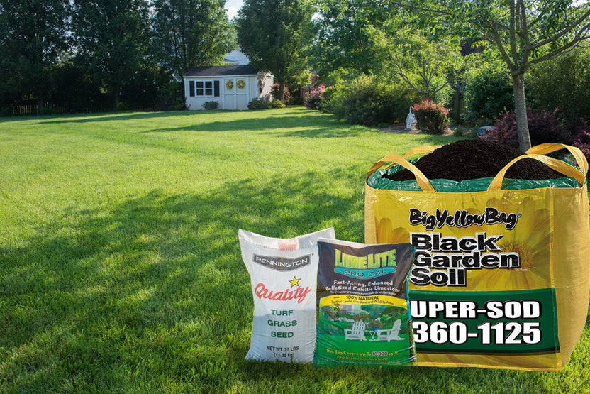 Fresh Grass Seed | Grow What We Grow | Super-Sod